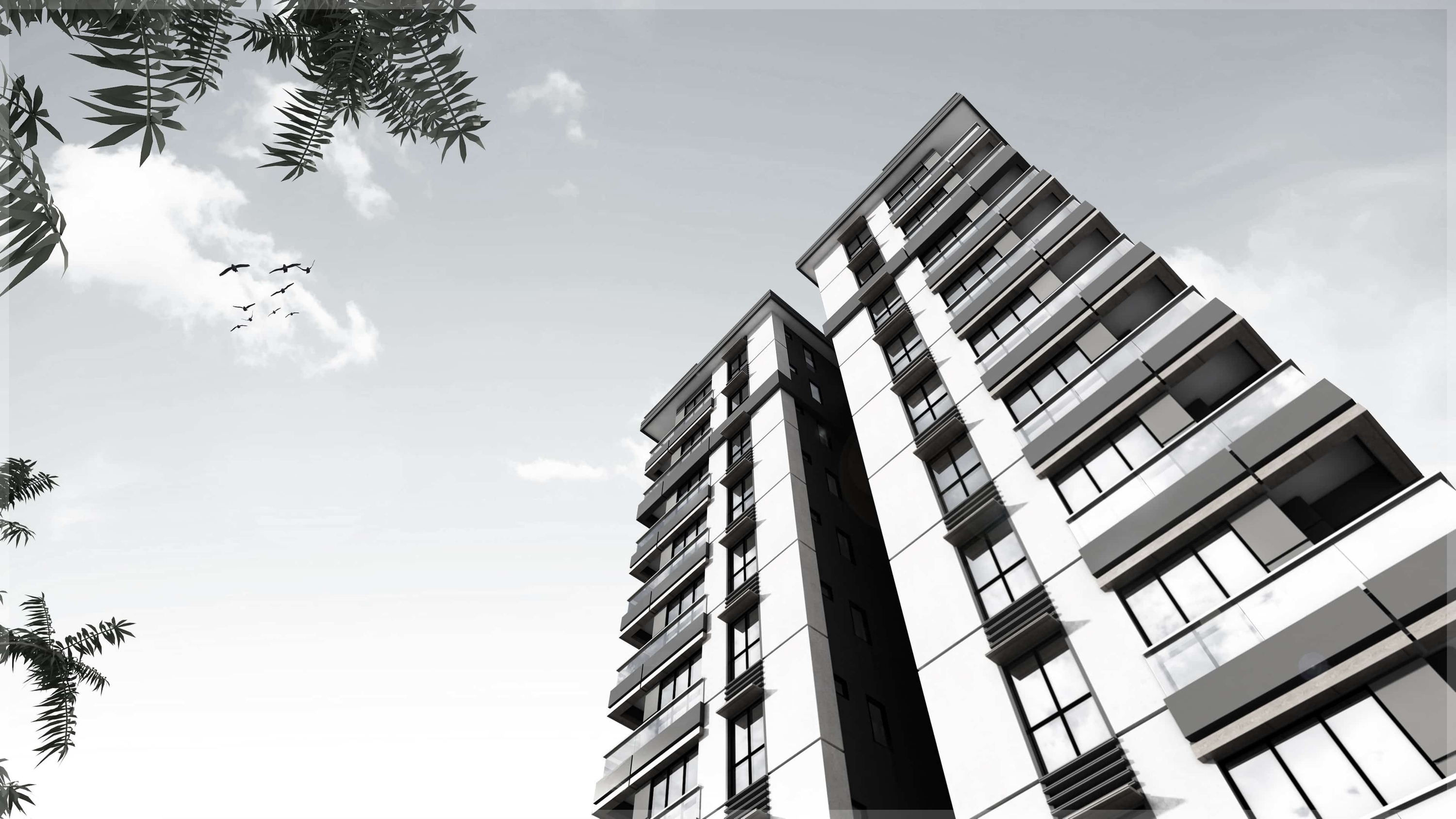 The High Life – Park Life Project | MapMySay